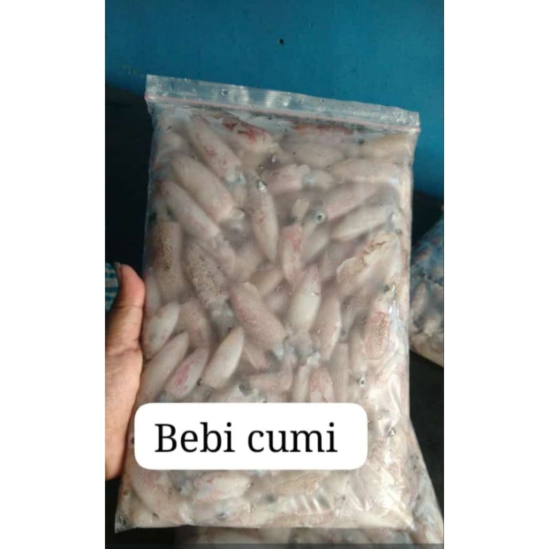 Jual baby cumi fresh frozen 1kg | Shopee Indonesia