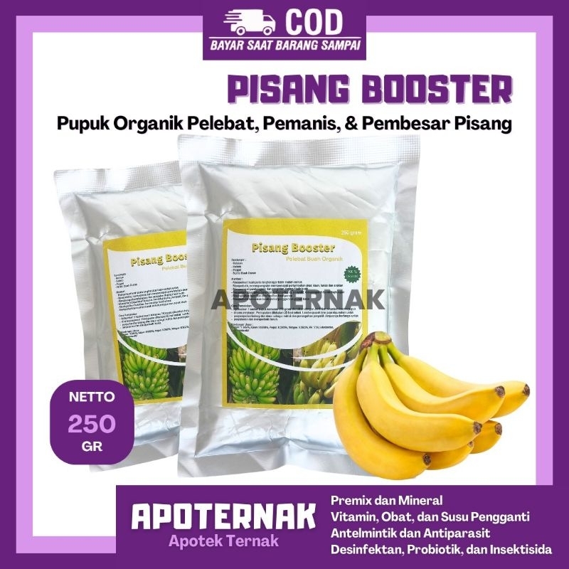 Jual PUPUK PELEBAT BUAH PISANG 250 gram - Pisang Boostet 250 gram - Pupuk Organik Pohon Pisang ...