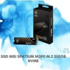 Jual SSD MSI Spatium M390 M.2 NVMe Gen 3 250GB | Shopee Indonesia