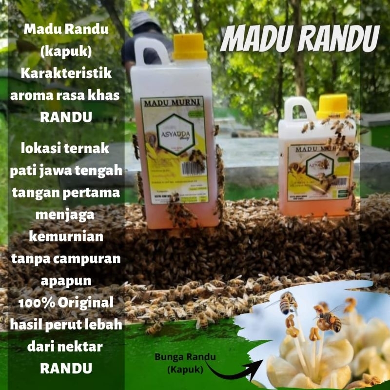 Jual Madu Randu 1kg Raw Honey Asli Sarang Madu Original 100% Aroma khas ...