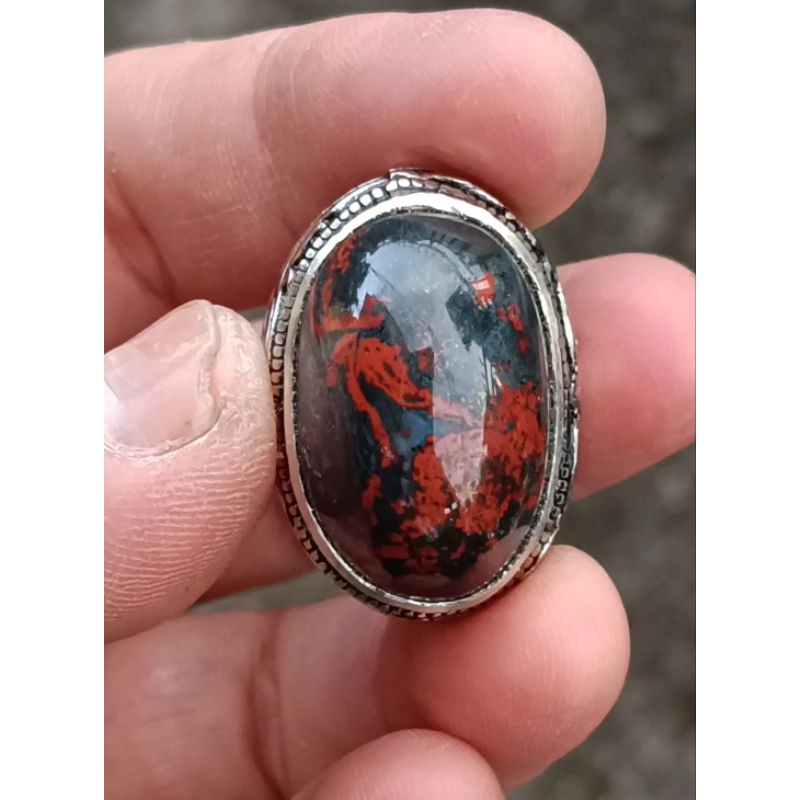 Jual badar besi merah cabe | Shopee Indonesia