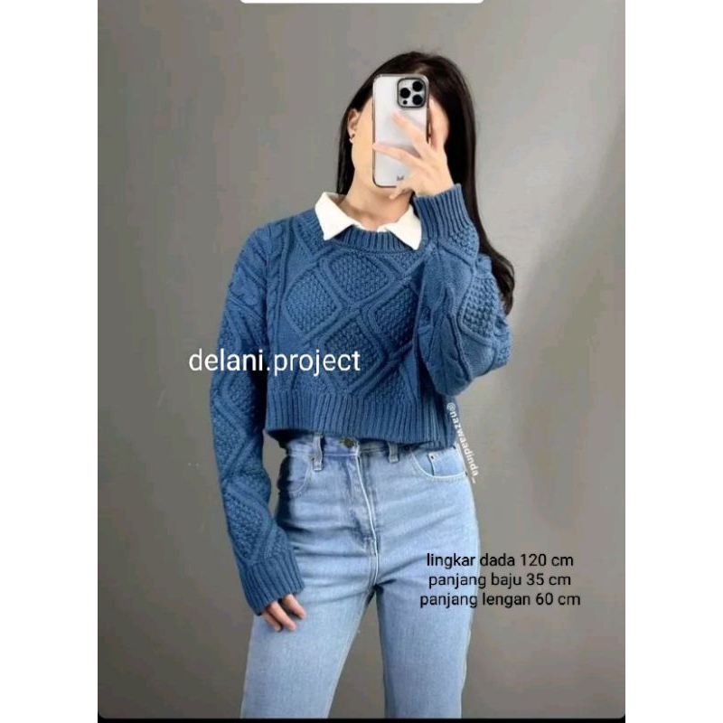 Jual Sandiego Crop Sweater Delani.Project | Shopee Indonesia