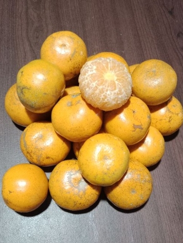 Jual Jeruk Medan kecil manis atau Jeruk Santang Lokal | Shopee Indonesia