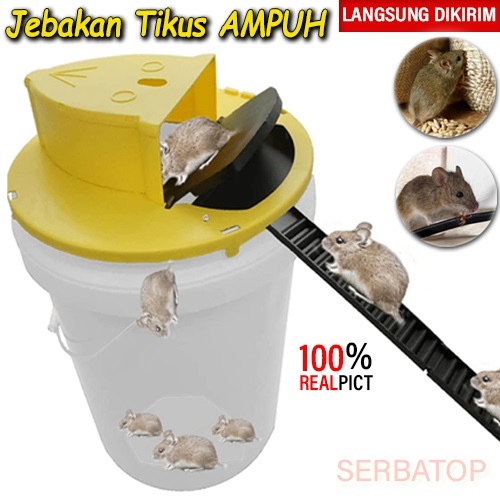 Jual Jebakan tikus Tutup Ember Otomatis perangkap penangkap tikus besar ...