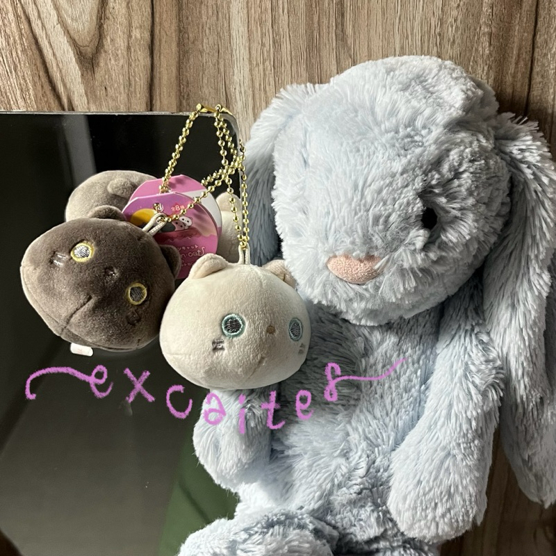 Jual jellycat bashful bunny blue/beau Medium (M) size | yell fullmoon ...