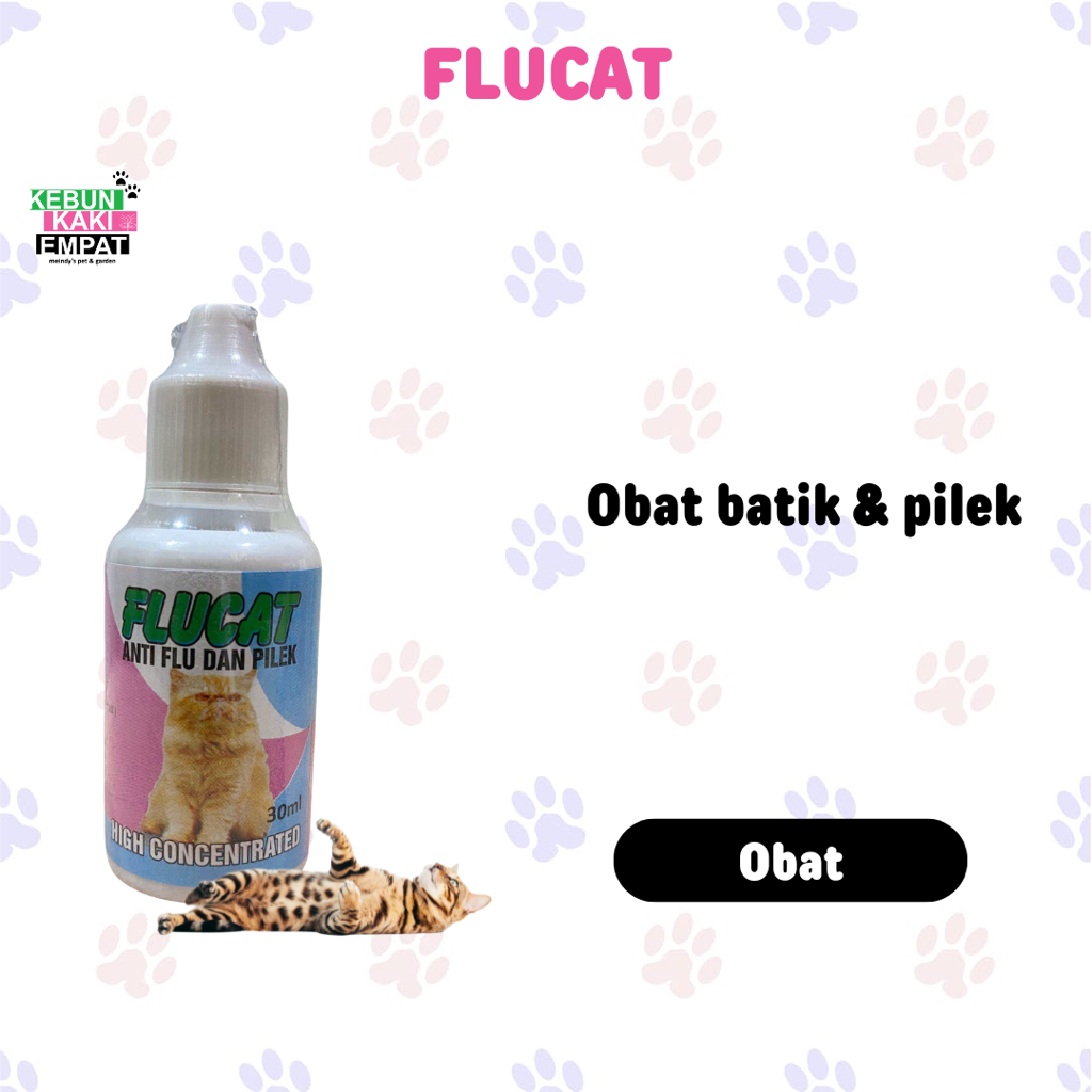 Jual Flucat Flu Cat Obat Batuk Pilek Ingus Kucing | Shopee Indonesia