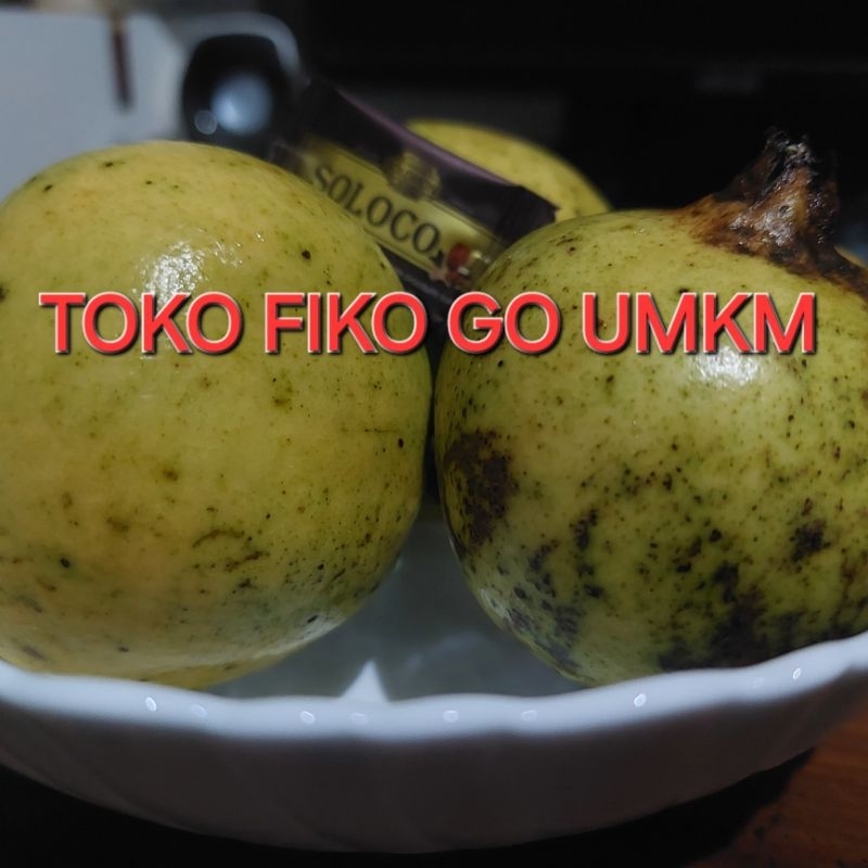 Jual Buah Solomon Obat Herbal | Shopee Indonesia