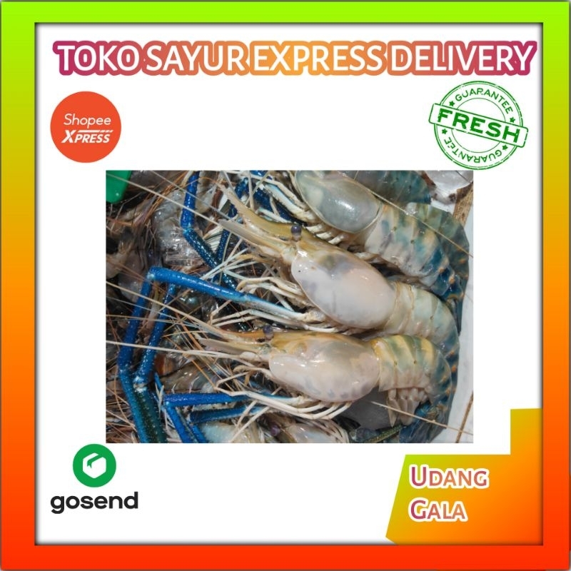 Jual Udang Galah - Sayur Mayur Segar Online Palembang | Shopee Indonesia