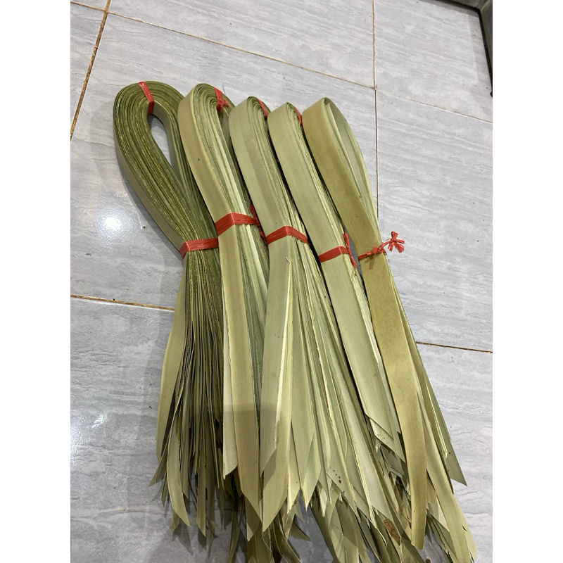 Jual Daun siwalan/lontar siap pakai khusus kerajinan dan bungkus ...
