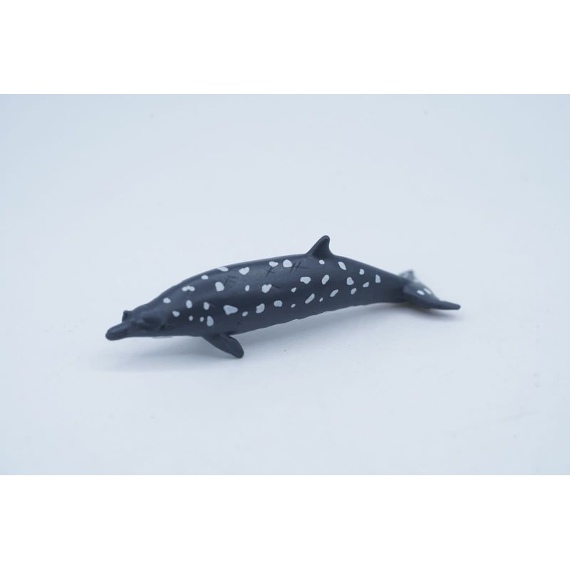 Jual Blainvilles Beaked Whale Ikan Paus Mainan Animal Figure Binatang ...