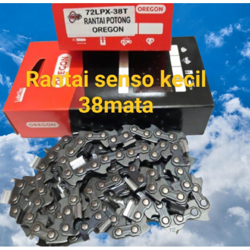 Jual Rantai potong 38T mata senso bar 22 inchi Oregon | Shopee Indonesia