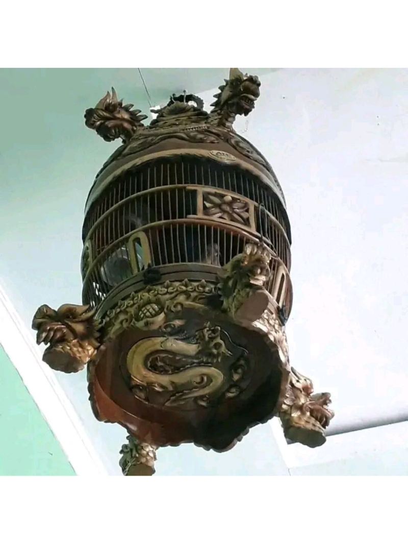 Jual sangkar perkutut jati ukir naga Bonar | Shopee Indonesia