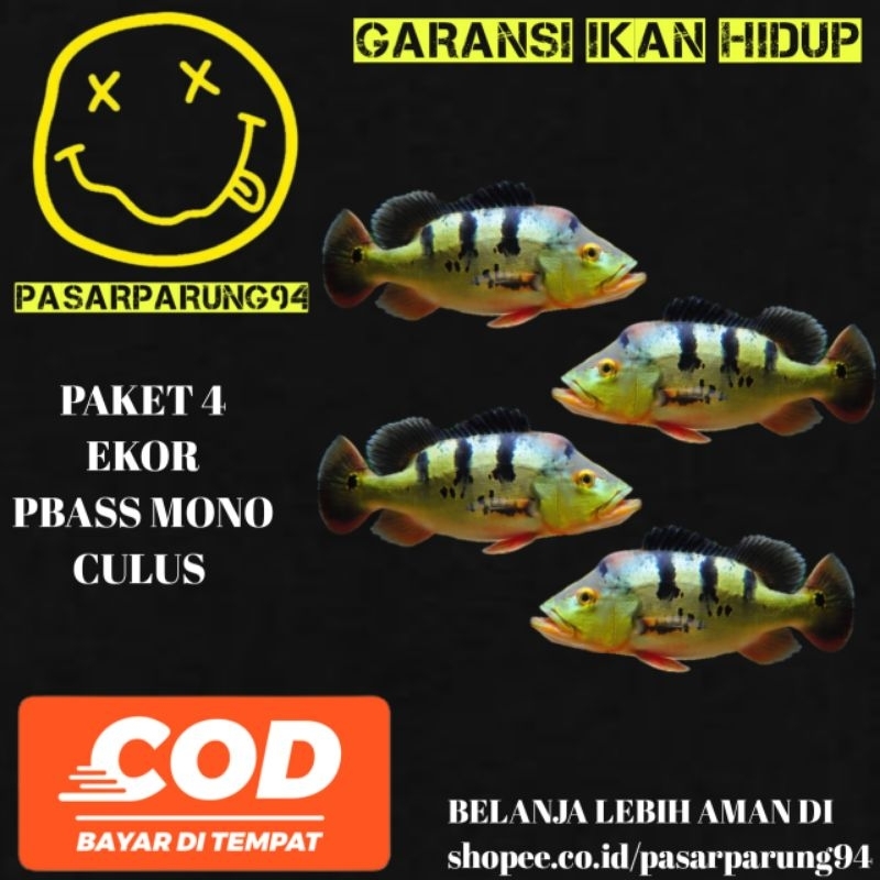 Jual kebutuhan aquarium paket 4ekor pbass mono/kelbery/orinoco/pinima ...