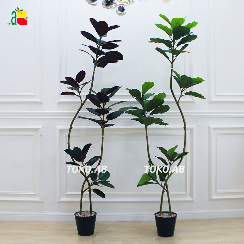 Jual 1 PAKET TANAMAN KETAPANG ARTIFICIAL AESTHETIC POHON KARET KEBO ...