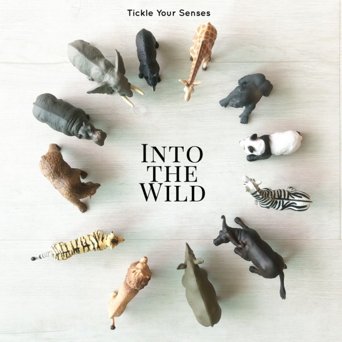 Jual Collecta Miniatur Box Of Mini Wild Animals - 100% Original ...