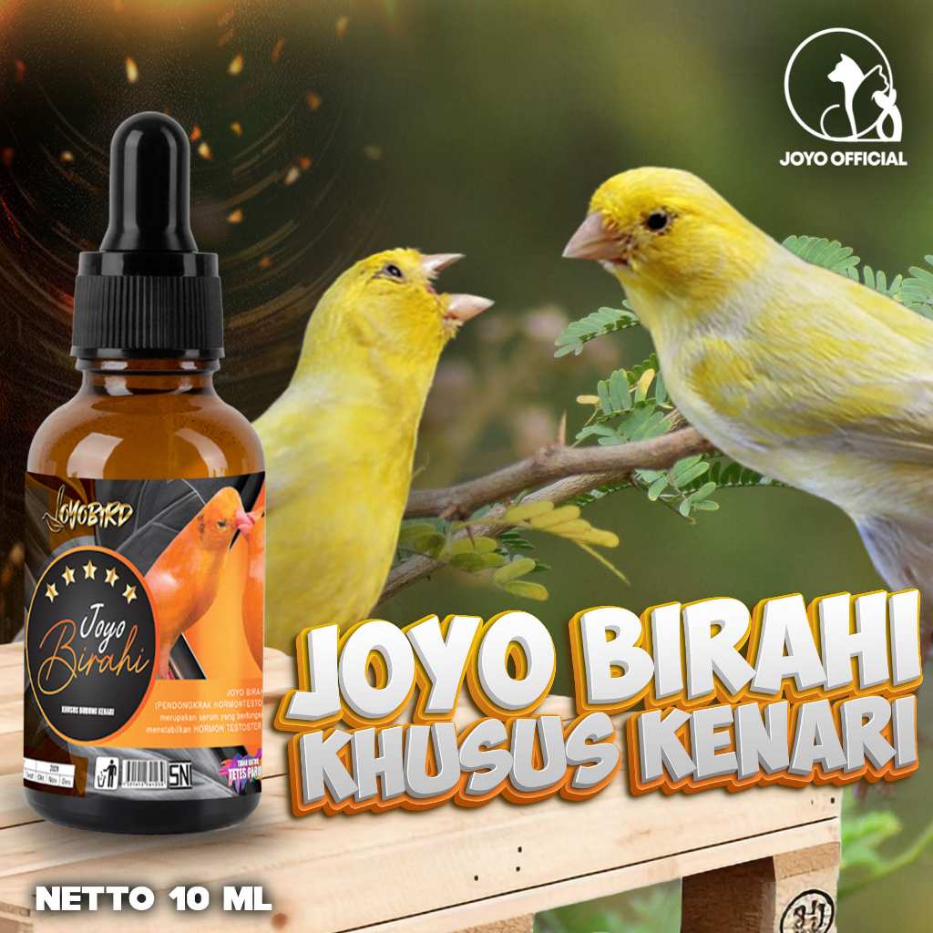 Jual OBAT BURUNG PENDONGKRAK BIRAHI KENARI | VITAMIN BURUNG PENDONGKRAK ...