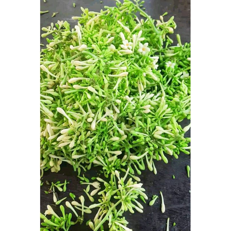 Jual Kembang Pepaya / Bunga Pepaya / Kembang Gandul / gedang gandul ...
