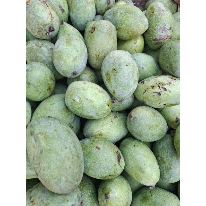 Jual Mangga Madu 1 Kg | Shopee Indonesia