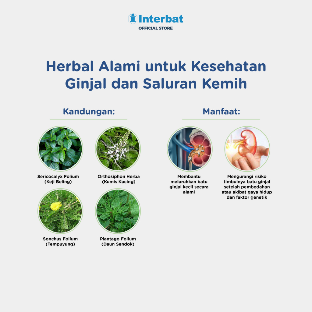 Jual Renax 50 Kapsul - Suplemen Herbal untuk Membantu Meluruhkan Batu ...