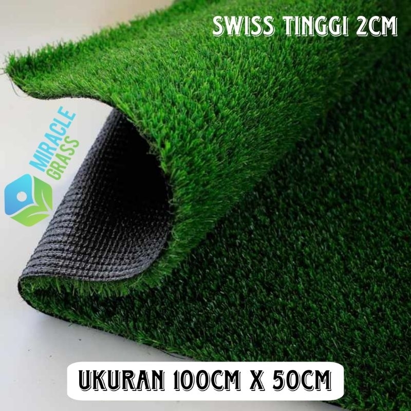 Jual Karpet Rumput Sintetis - Swiss 2cm - Ukuran 100cm x 50cm - Karpet ...