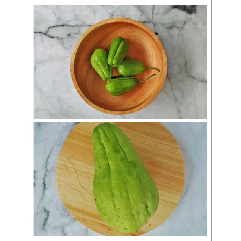 Jual Labu Siam Besar Jipang Chayote | Labu Siam Acar 250 gr | Shopee ...