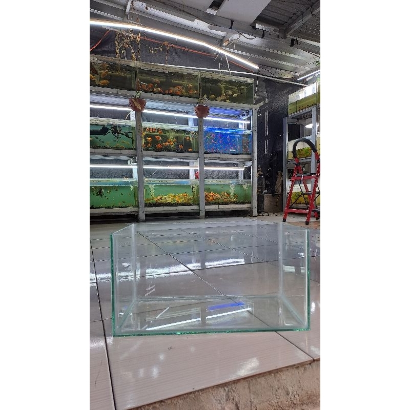 Jual KHUSUS INSTANT AQUARIUM KACA 50 X 25 X 25 CM TEBAL 5 MM / AKUARIUM ...
