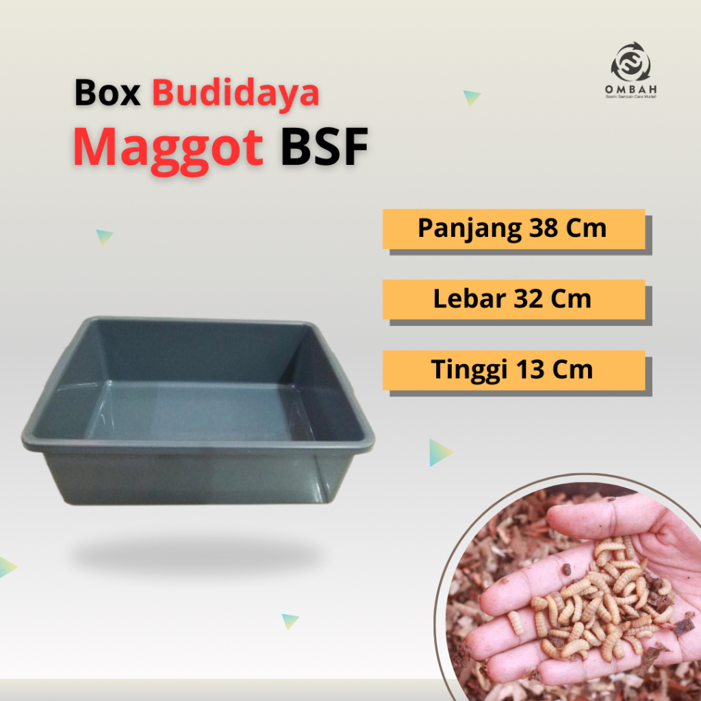 Jual BOX Budidaya Maggot BSF Ukuran 38 cm x 32 Cm x 13 cm | Shopee ...