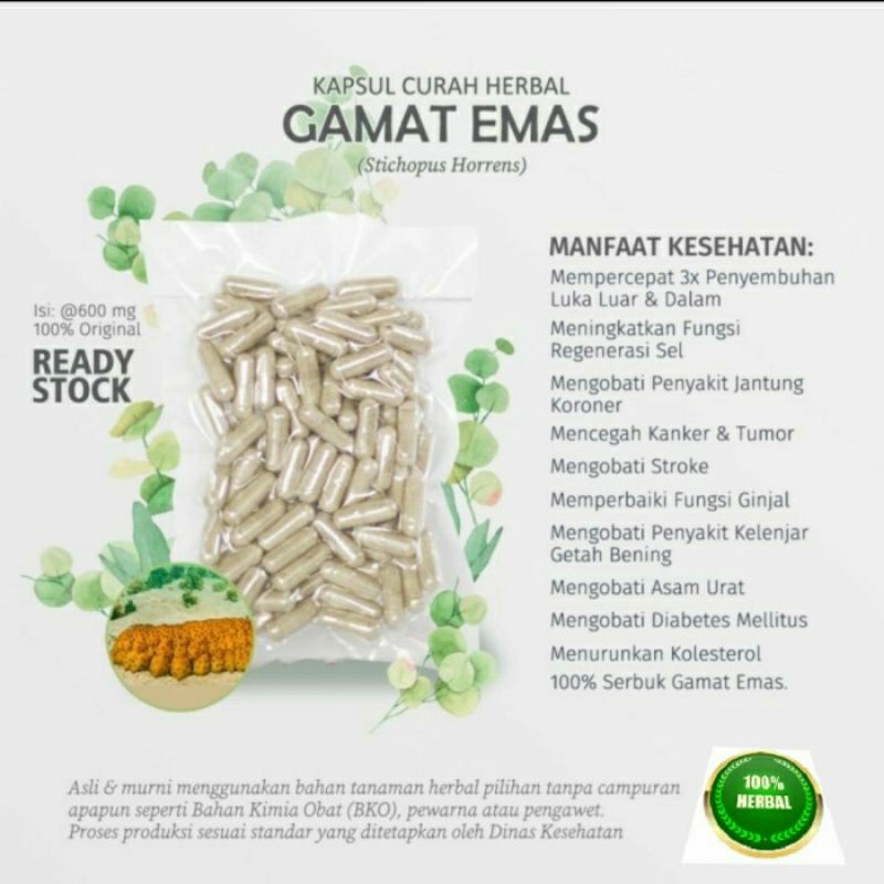 Jual Gamat Gold Kapsul Gamat Emas 500mg Super Teripang Laut 100 Kapsul ...