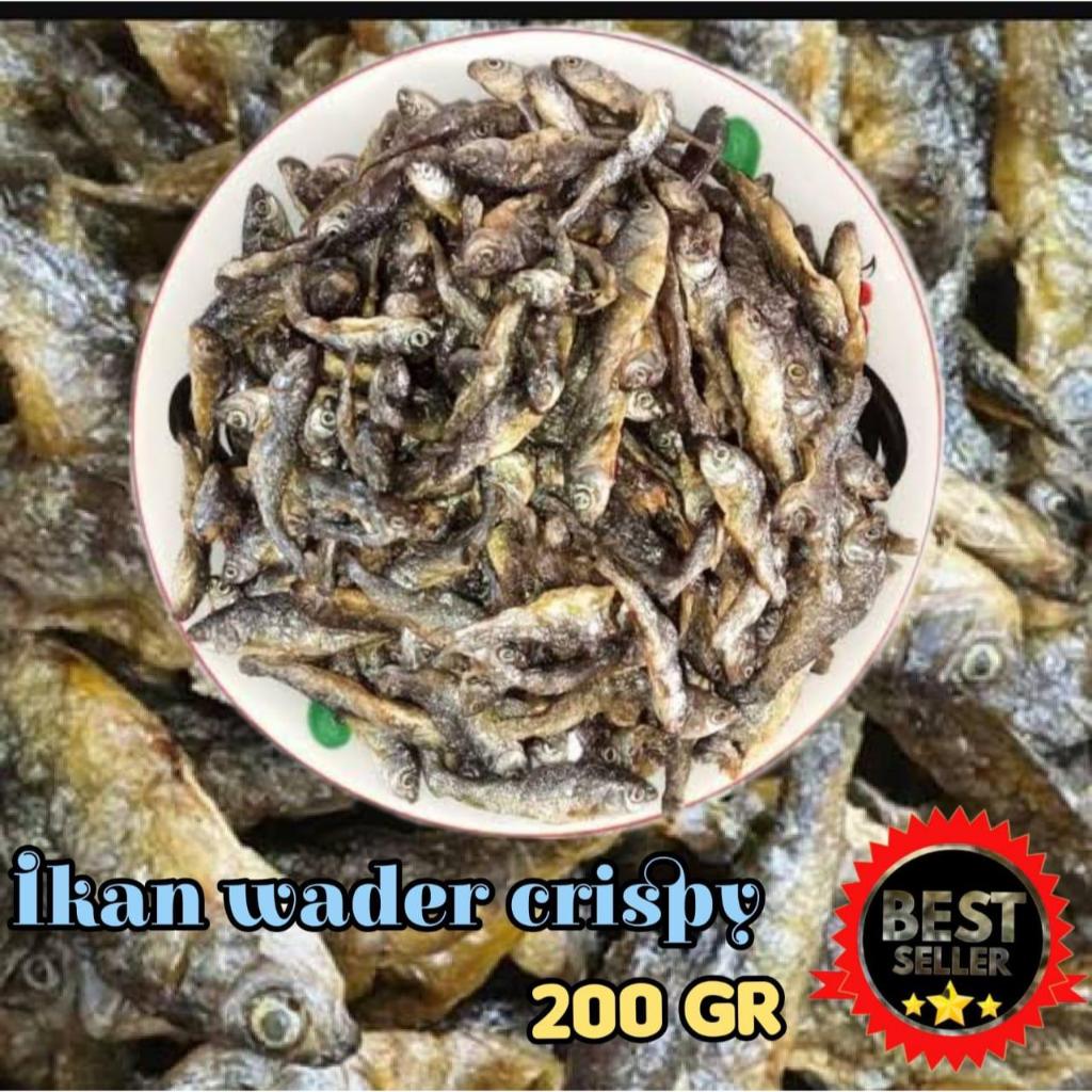 Jual ikan wader goreng crispy per 200 gr - ikan goreng crispy - baby ...