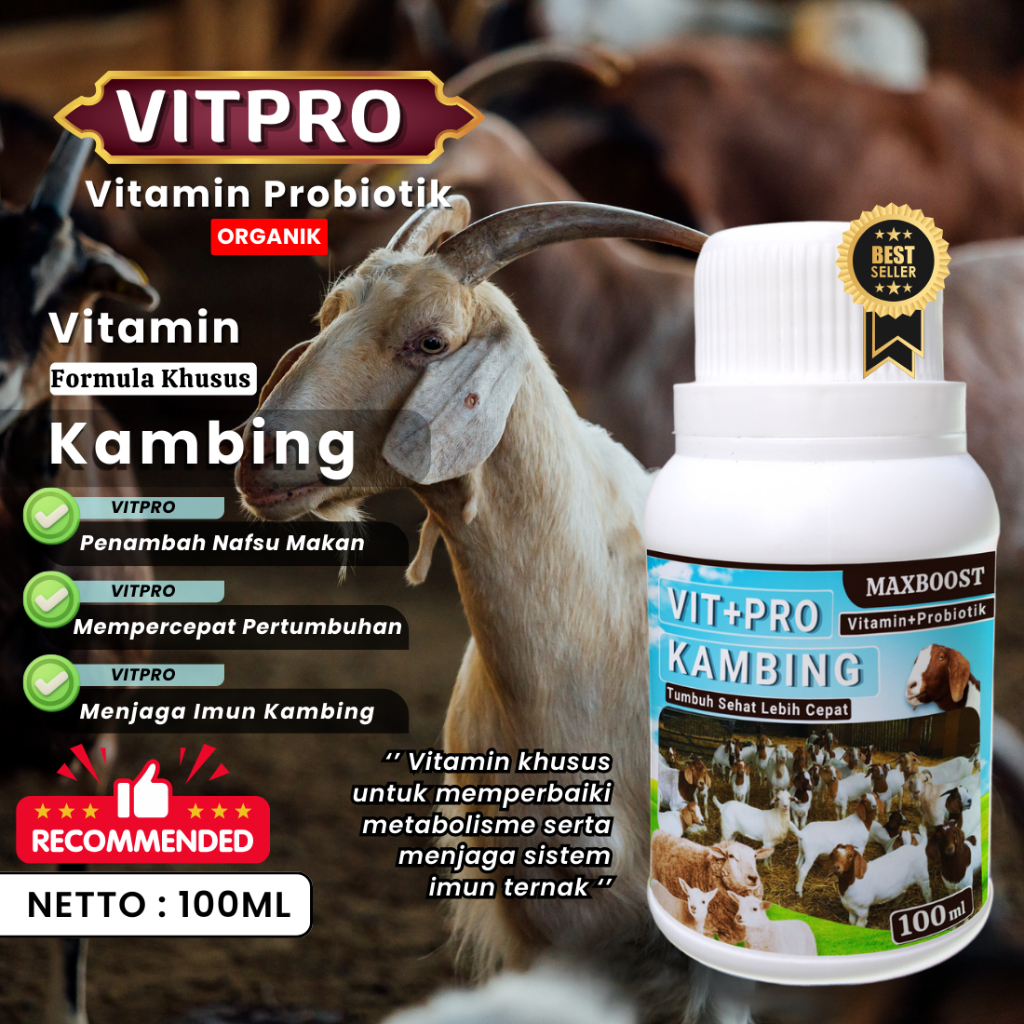Jual VIT+PRO Penggemuk Kambing 100% Vitamin Hewan Ternak Aman, VITAMIN ...