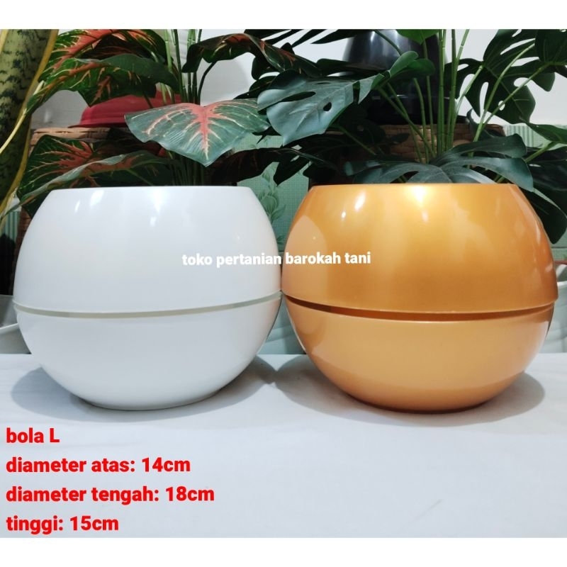 Jual (1pcs) POT SUPER BOLA L pot plastik model bola pot indoor | Shopee ...