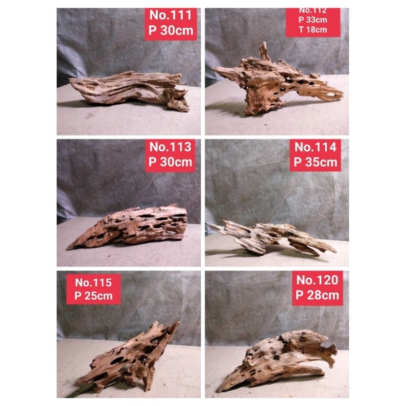 Jual kayu rentek drift Wood size medium kayu aquascape aquarium 111 SD ...