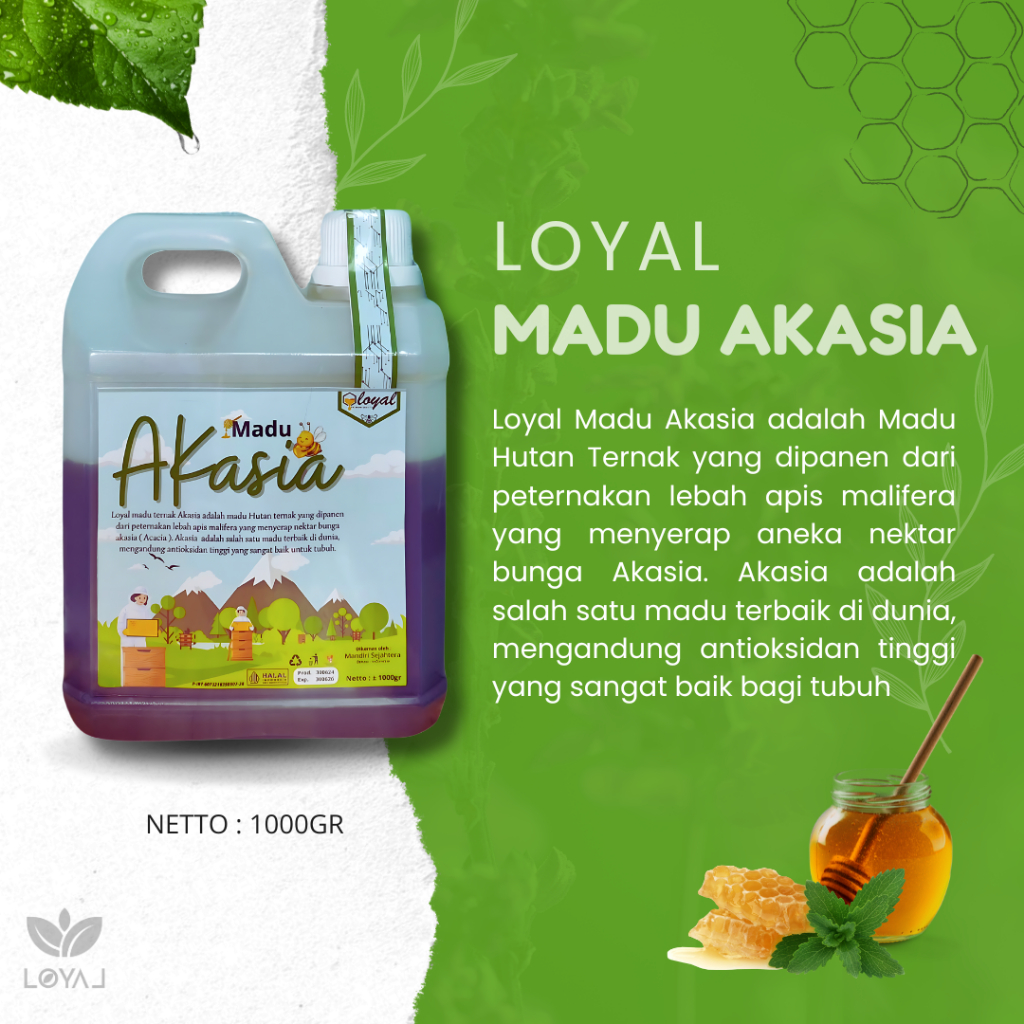 Jual Loyal Madu Akasia - Madu Hutan Asli 1kg | Shopee Indonesia