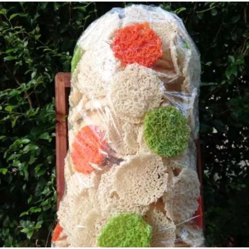 Jual PATHILO MENTAH YOGYAKARTA KUALITAS SUPER | Shopee Indonesia