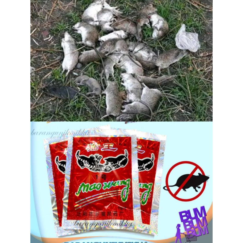 Jual obat tikus racun tikus beras merah tinggal tabur (awas obat keras ...