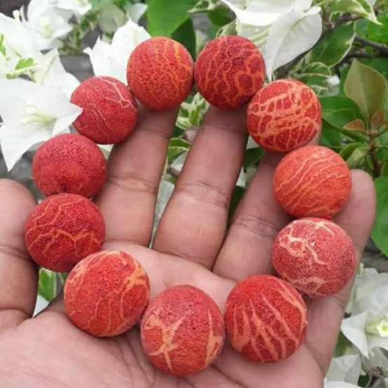 Jual Gelang batu marjan natural jumbo tanpa poles resin | Shopee Indonesia