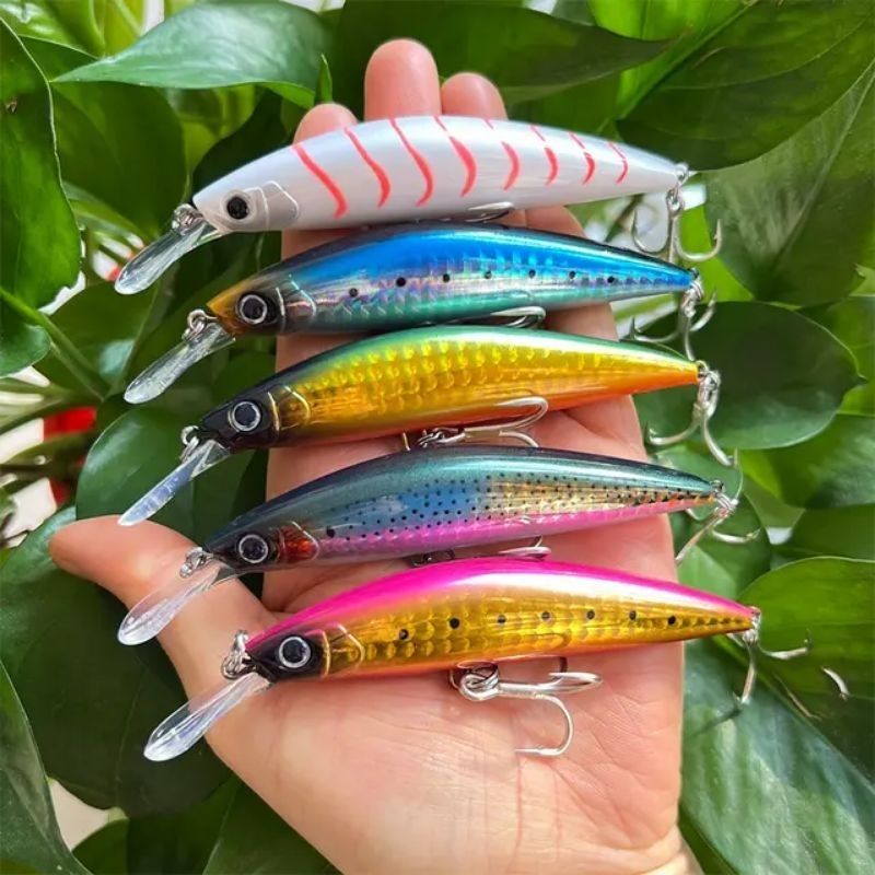 Jual 1biji Heavy Minnow Longcast 9cm 31gr sinking | Shopee Indonesia
