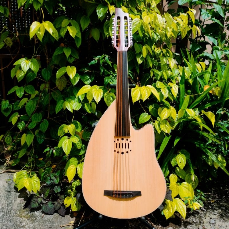 Jual oud gambus Godin spesial | Shopee Indonesia