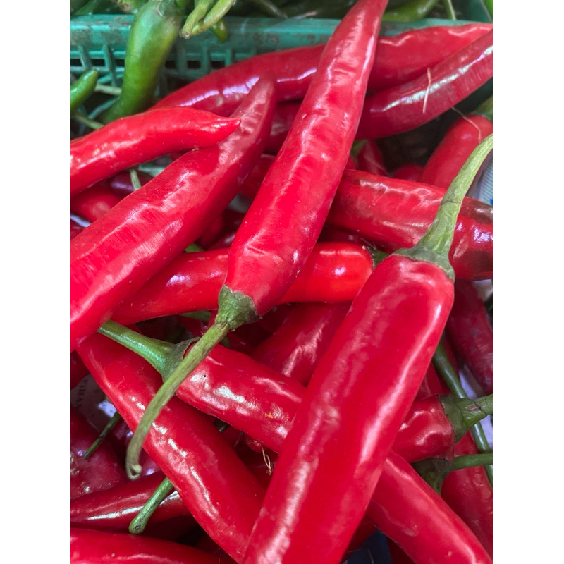 Jual CABE MERAH BESAR ( TW MERAH BESAR ) | Shopee Indonesia