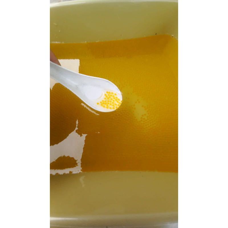 Jual Telur gurame soang super paket isi 5000-telur gurame soang ...