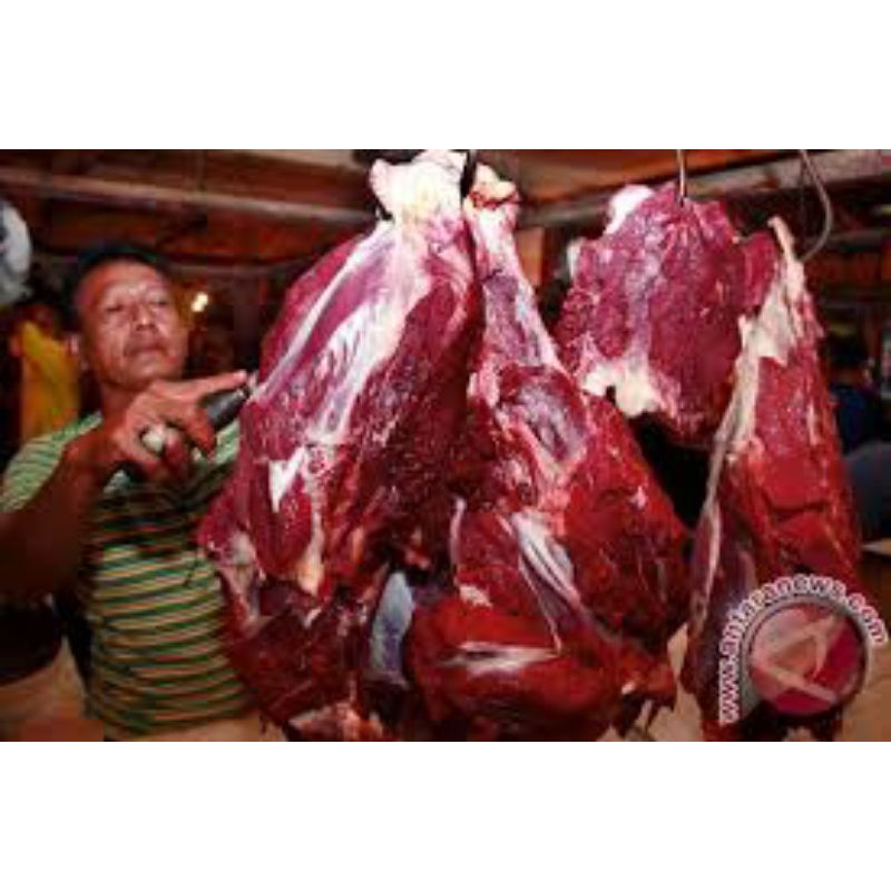Jual daging sapi segar 1kg | Shopee Indonesia