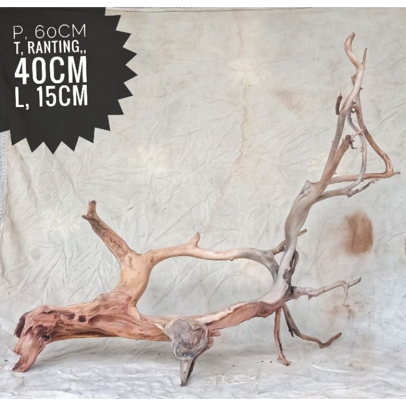 Jual Kayu Rentek aquascape Model bonggol Ranting, size. XL | Shopee ...