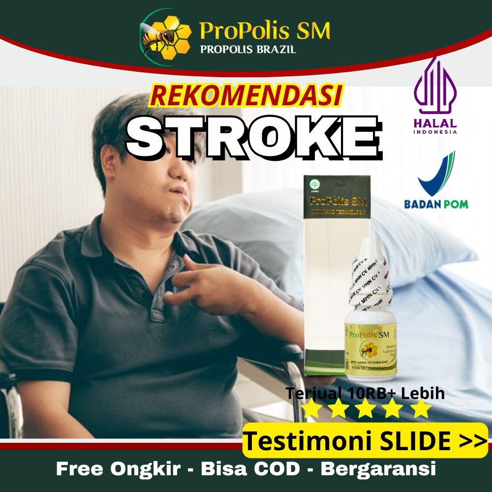 Jual Obat Stroke Ringan Berat Penyumbatan Pembuluh darah rusak Di otak ...