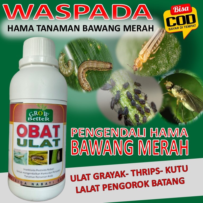 Jual Pestisida Nabati Obat Pembasmi Ulat grayak Penggerek Batang Thrips ...