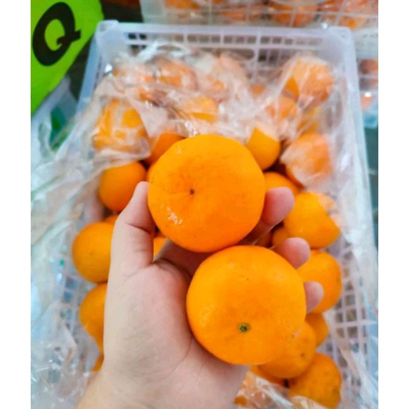 Jual JERUK WOGAN GUNDUL | Shopee Indonesia