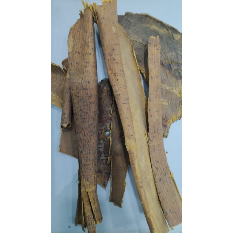 Jual 300 G GR GRAM 黄柏板 HUANG BO BAI BAN AMUR CORK TREE CORTEX ...