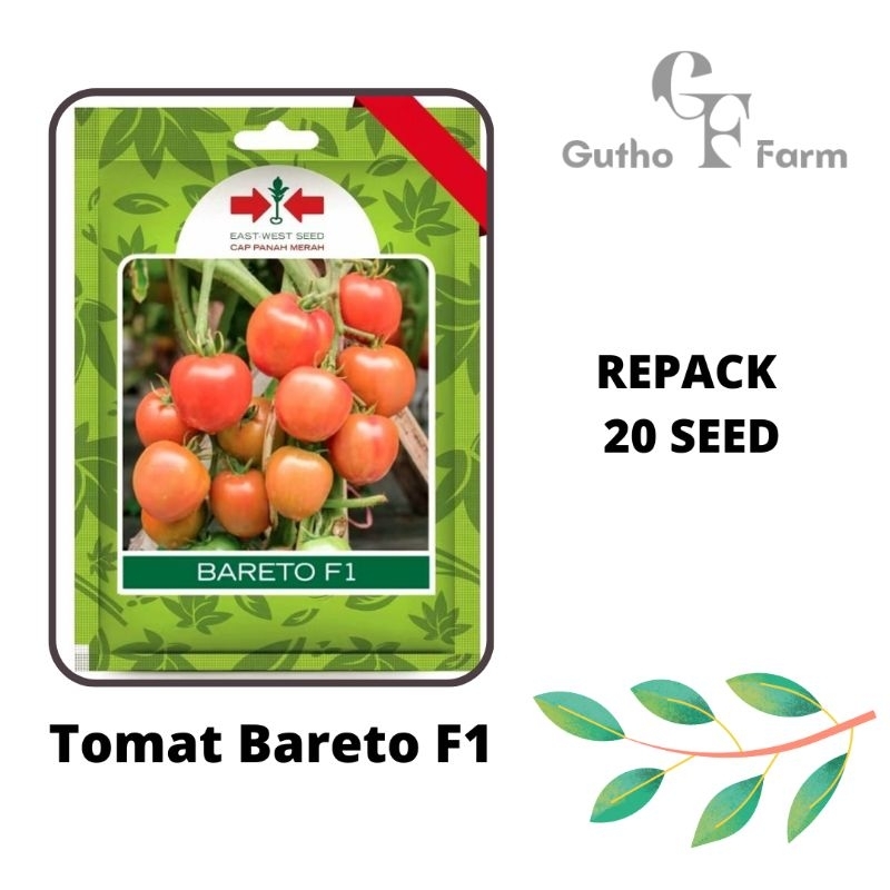 Jual Benih Tomat Bareto F1 Kemasan Repack 20 Seed | Shopee Indonesia