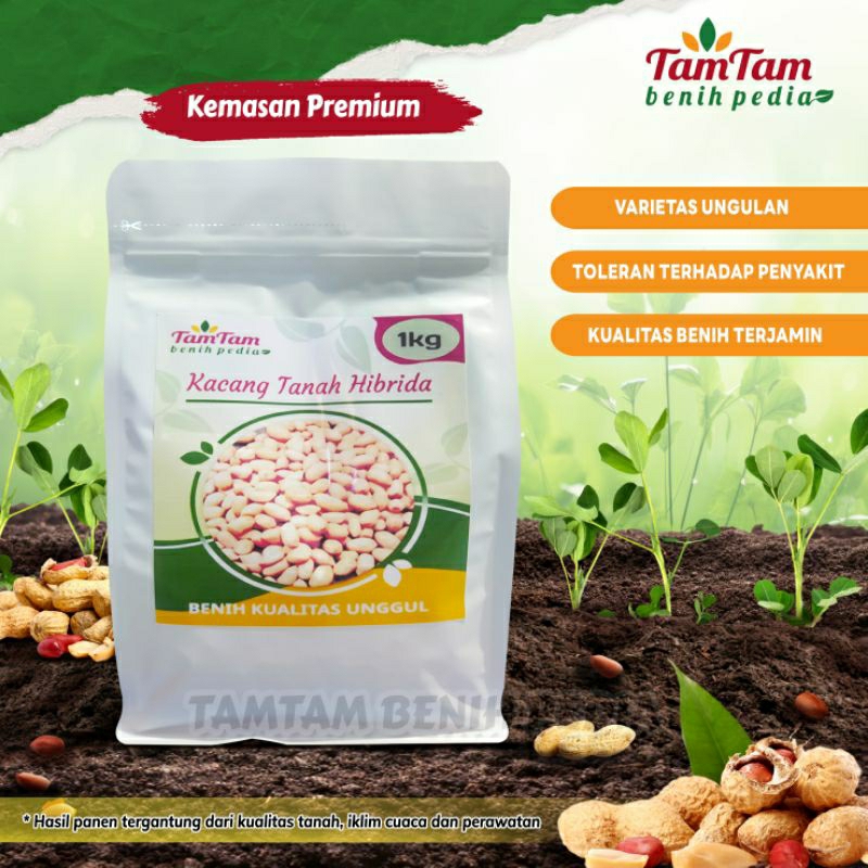 Jual Benih Kacang Tanah Super Premium Putih (1kg)/New Packaging ...