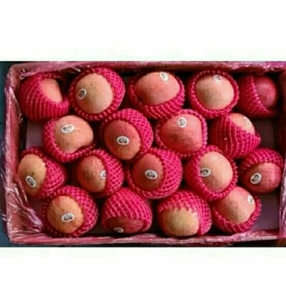 Jual Apel 1 Kg Terlengkap & Harga Terbaru April 2025 | Shopee Indonesia