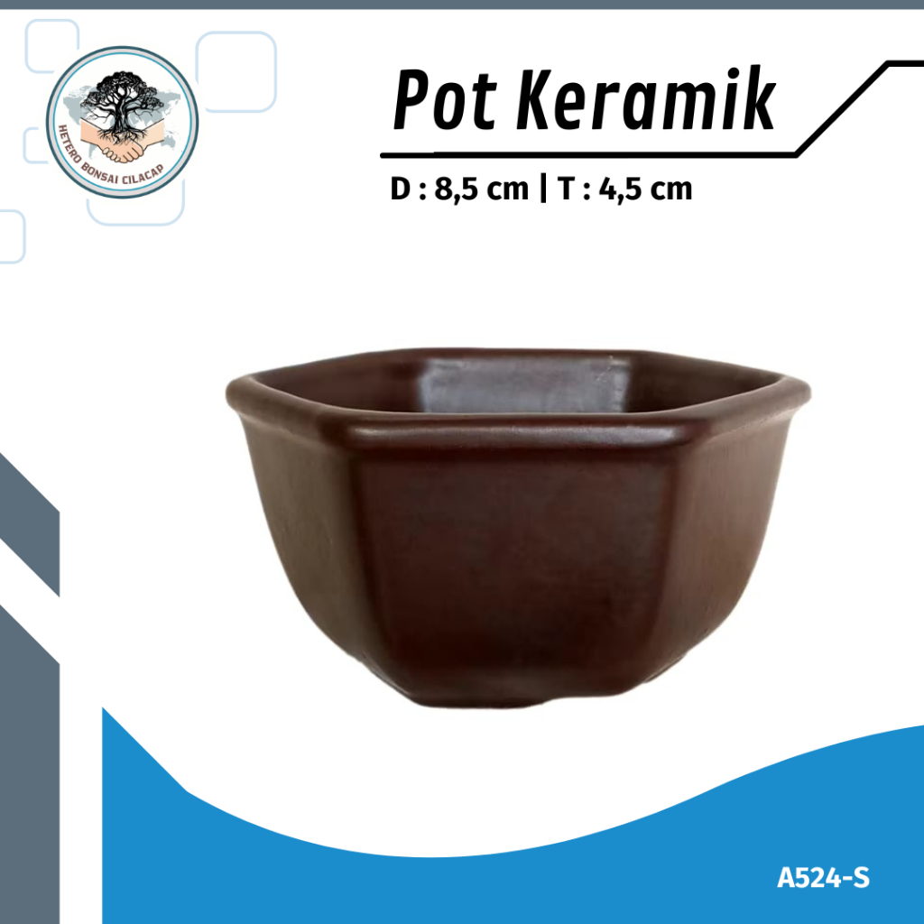Jual Pot Bonsai Keramik Segi Enam kode A524 | Shopee Indonesia
